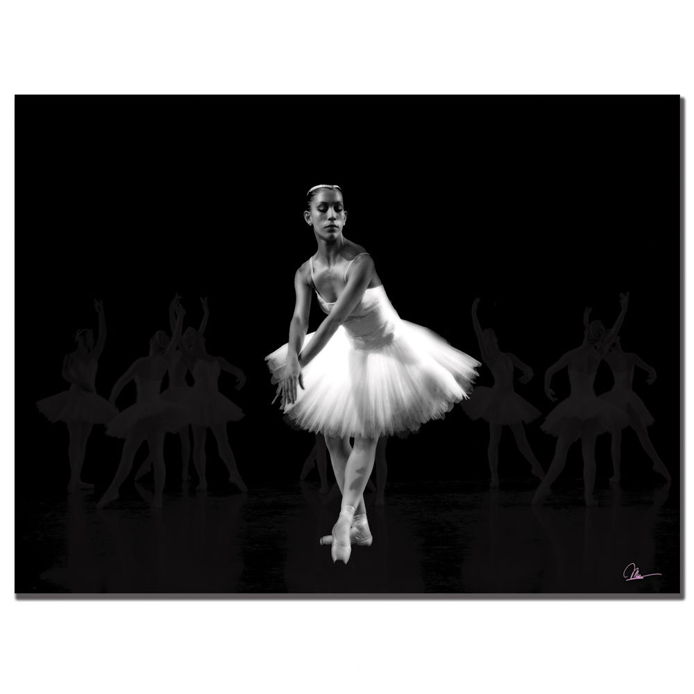 Trademark Fine Art 'Solo II' by Martha Guerra Photographic Print on Canvas | Wayfair